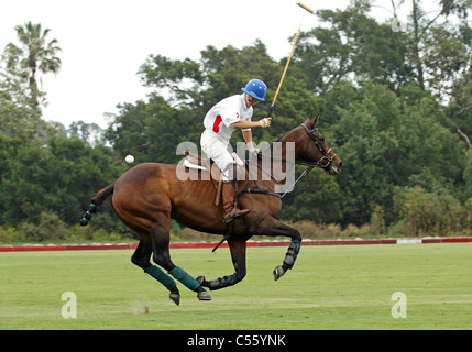 A female polo player in action Stock Photo: 32542737 - Alamy