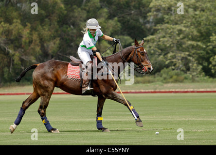 A female polo player in action Stock Photo - Alamy