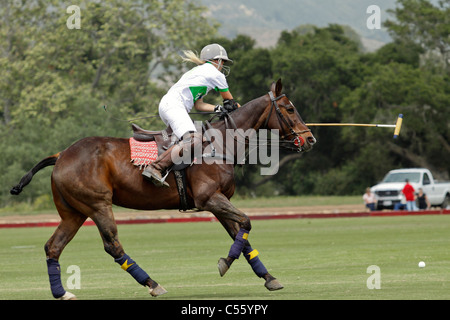 A female polo player in action Stock Photo - Alamy
