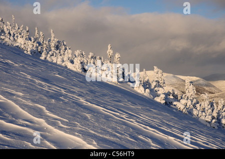 On the summit of Mont Hogsback in Winter in the Chic Chocs, Parc de la ...