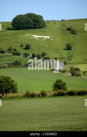 Hackpen White Horse chalk hill figure of a white horse on Hackpen Hill ...