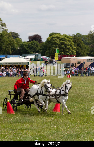Scurry Racers at Raby Castle Game & Country Fair, Staindrop, Durham, UK ...