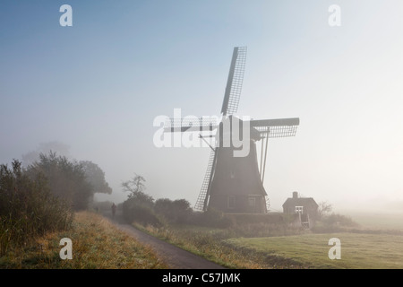 Jogging in the morning Stock Photo - Alamy