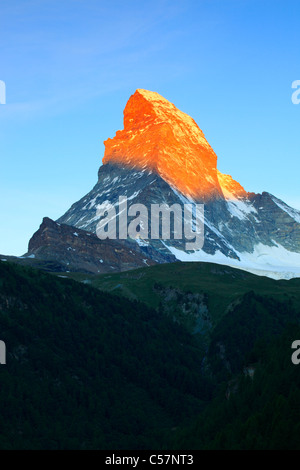 Alps, afterglow, glowing, Alpine panorama, view, mountain, mountain ...