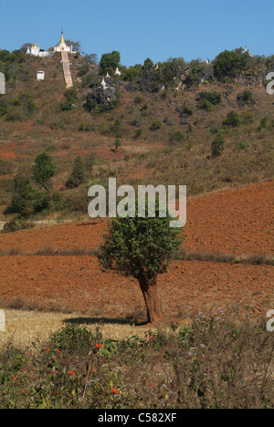 Asia, Burma, Myanmar, scenery, agriculture, plateau, near Aungban, near ...