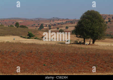 Asia, Burma, Myanmar, scenery, agriculture, plateau, near Aungban, near ...