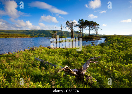 Loch Assynt, Great Britain, Scotland, Europe, sea, coast, island, isle ...