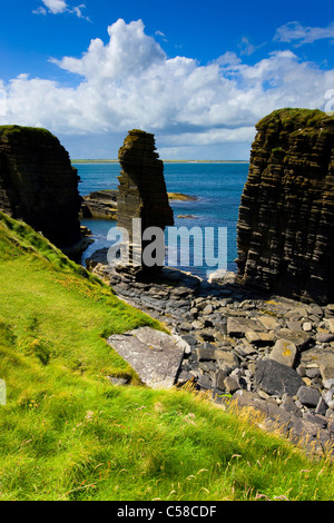 Noss Head, Great Britain, Scotland, Europe, sea, coast, rock, cliff ...