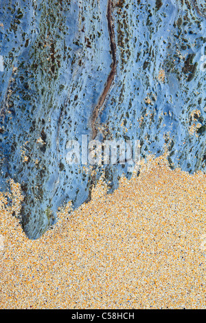 Blue sea with yellow rock shapes, and single tree, Tinline Bay, Abel ...