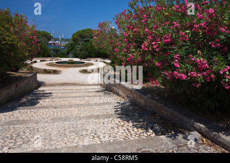 Monte Zaro Park in Pula, Croatia Stock Photo - Alamy