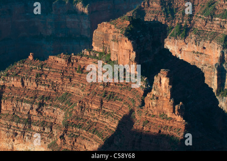 Morning sunlight on the canyon walls in Illinois Canyon. Starved Rock ...