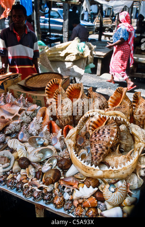 Sea shells in the market. Conch shells at Puri sea beach evening market ...