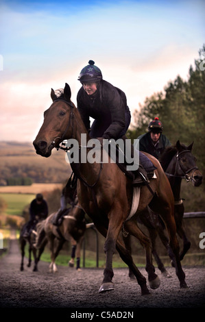 Work riders exercising racehorses at a stable in Gloucestershire UK ...