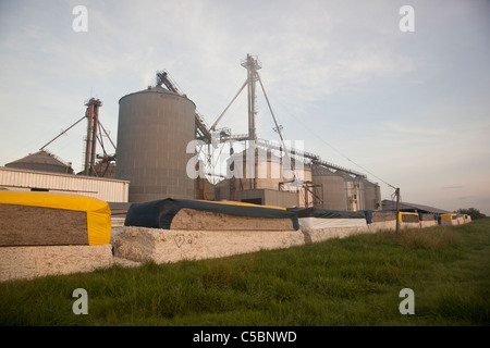Large cotton bales covered with yellow tarps sit in a cotton field in ...