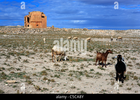 Roman arch, (195 AD), Haidra, Maktar, Tunisia Stock Photo - Alamy