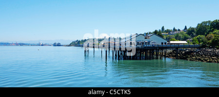 Tacoma, WA Ruston Way waterfront with pier and Mt.Rainier during Stock ...
