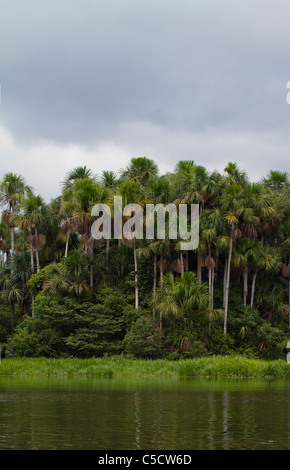 Lake Sandoval Peru Stock Photo - Alamy