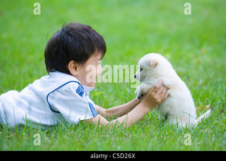 boy seeing baby dog Stock Photo - Alamy
