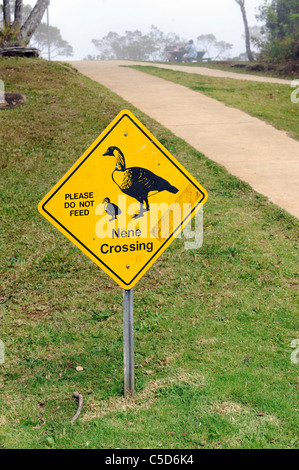 Nene Hawaiian Goose crossing sign on the road to Haleakala Crater ...