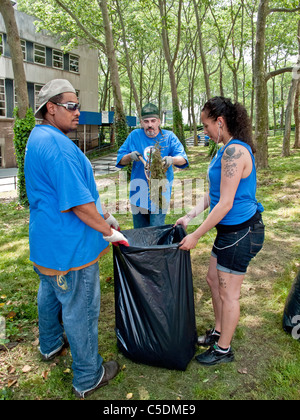 A Sanitation Worker in New York City throwing blue colored trash bags ...
