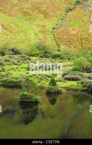 Lochan Urr, Glen Etive, Highland, Scotland, UK. View of Buachaille ...