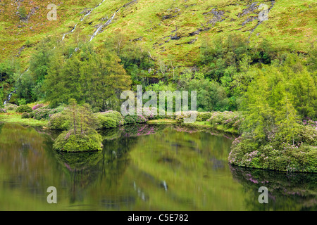 Lochan Urr, Glen Etive, Highland, Scotland, UK. View of Buachaille ...