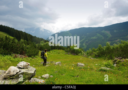 hikers in the austrian alps walk on mountain hiking trails in the woods ...