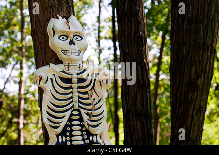 plastic human skeleton hanging over a tree in a forest Stock Photo - Alamy