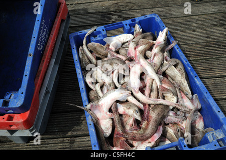 Burry Port Harbour, Carmarthenshire, Wales, UK Stock Photo - Alamy