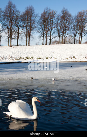 Inverleith park pond frozen in winter, with trees and blue sky , ice ...