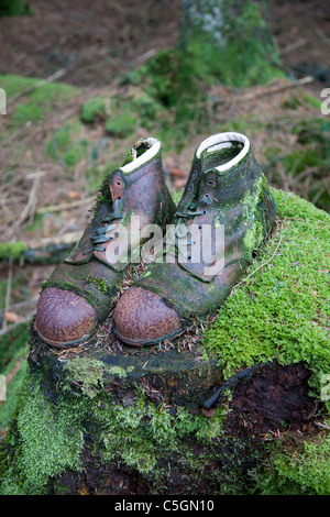 Close up to a very old and mossy boots lied in a tree trunk, in a ...