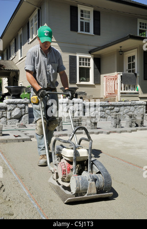 Worker compacting sand making it ready for paver installation Stock ...