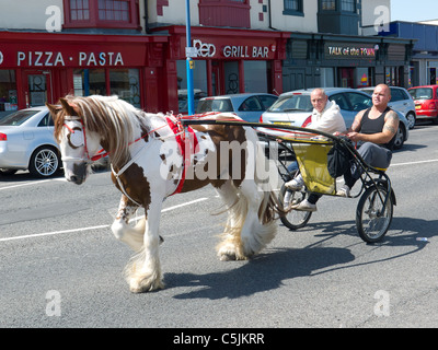 Two men riding a Gypsy Trotting Cart pulled by a black and white ...