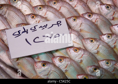 Fish market Lebanon Middle East Stock Photo - Alamy