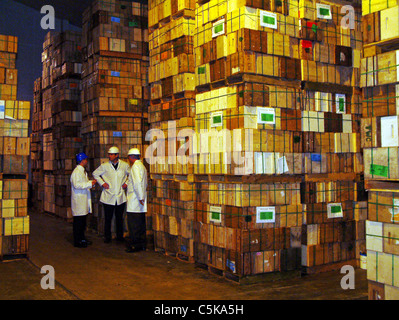 Tons of Cheddar cheese stored for maturation at Wyke Farms Stock Photo ...