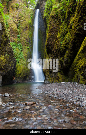 Lower Oneonta Falls and Oneonta Gorge, Oregon USA Stock Photo - Alamy