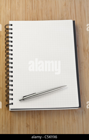 Silver Ball point pen isolated on white background. Silver Ball point ...