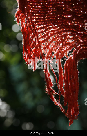 Old rag hanging on a line Stock Photo - Alamy