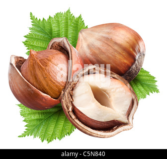 Filberts with leaves on white background Stock Photo - Alamy
