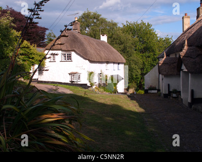 Dartmoor Cottage,Cottage, Thatched Roof, Devon, England, Rural Scene ...