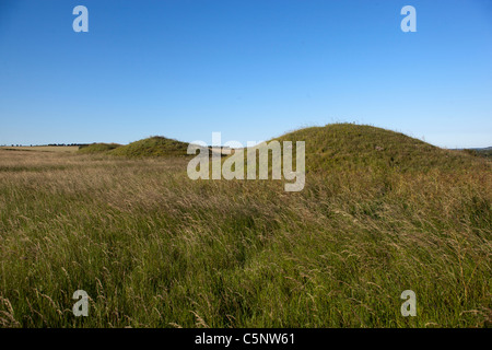 Overton Hill round barrows, Wiltshire, UK. View W of four Early Bronze ...
