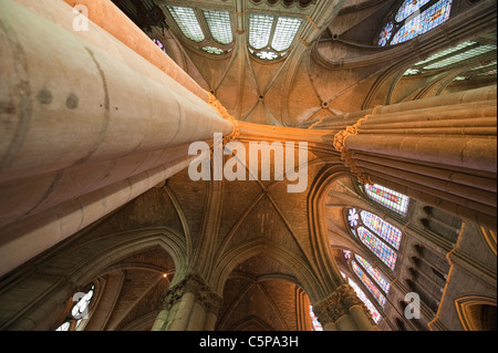 ribbed Gothic vaulting, cathedral of Notre-Dame de Paris , France Stock ...