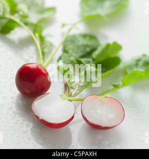 Radish Cross Section Stock Photo - Alamy