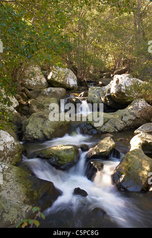 waterfalls river, Los Alcornocales andalusia natural park forest ...