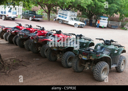Tropical rainforest in the Sierra Madre del Sur Mountains of Oaxaca ...