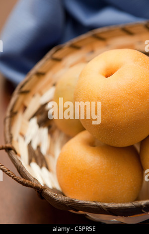 The close-up view of Chinese pear blossoming branches with white ...