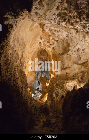 The Hall of Giants Formation in The Big Room Carlsbad Caverns National ...