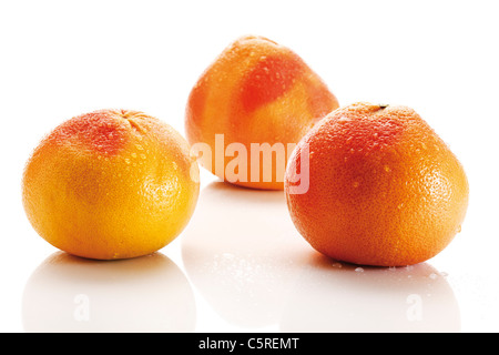Grapefruits (Citrus x paradisi Stock Photo - Alamy
