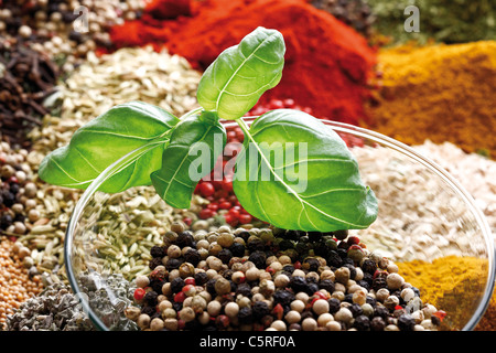 spices close up Stock Photo - Alamy