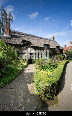 Thatched cottage at Thornton le Dale in North Yorkshire, UK Stock Photo ...